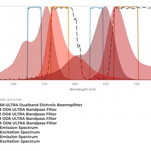 Cy®3/Cy®5 ULTRA Full Multiband Fluorescence Filter Set for LED Light ...